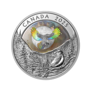 2025 $20 Fine Silver Coin - Moon Sky: Raven