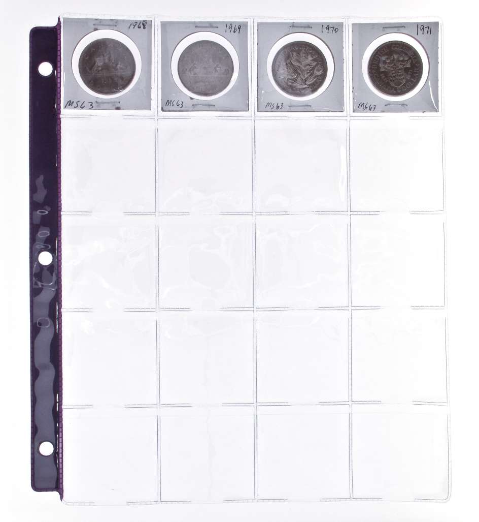 20 POCKETS BLUE STRIP 3 RING VINYL PAGES /50 (LH)